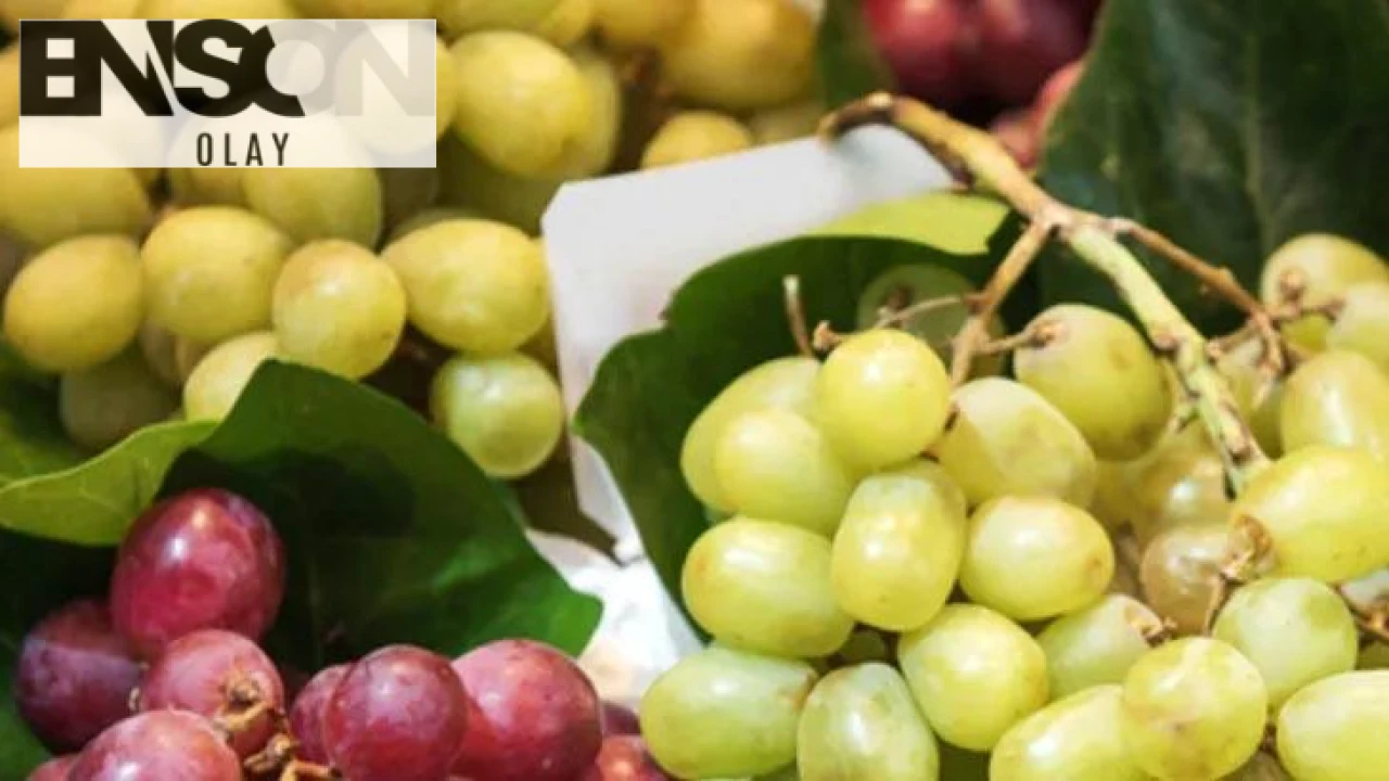 Rüyada Üzüm Görmek Ne Anlama Gelir? Rüyada Üzüm Salkımı Görmek Nedir? - En Son Olay